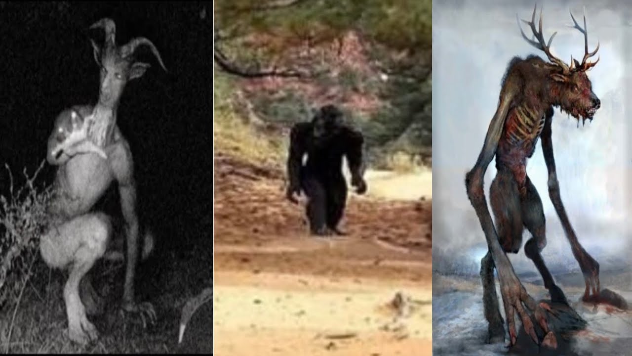 The Cryptid Men Cometh - YouTube