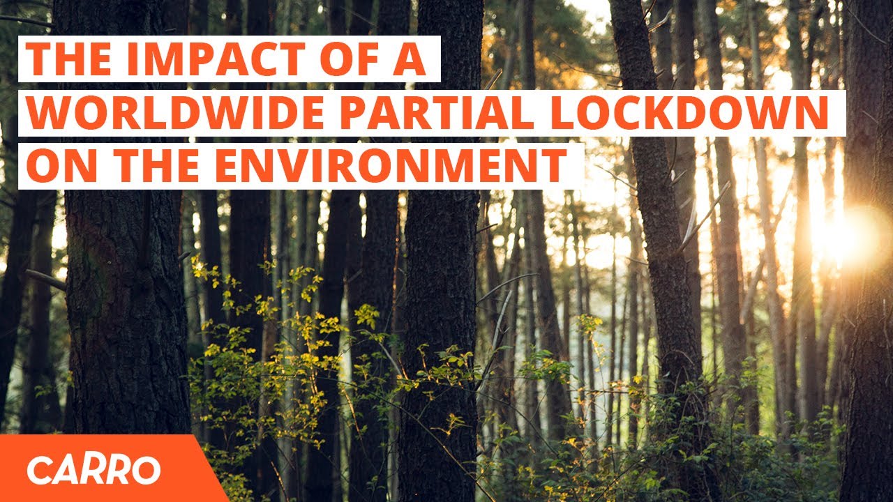 The Impact of A Worldwide Partial Lockdown On The Environment - YouTube