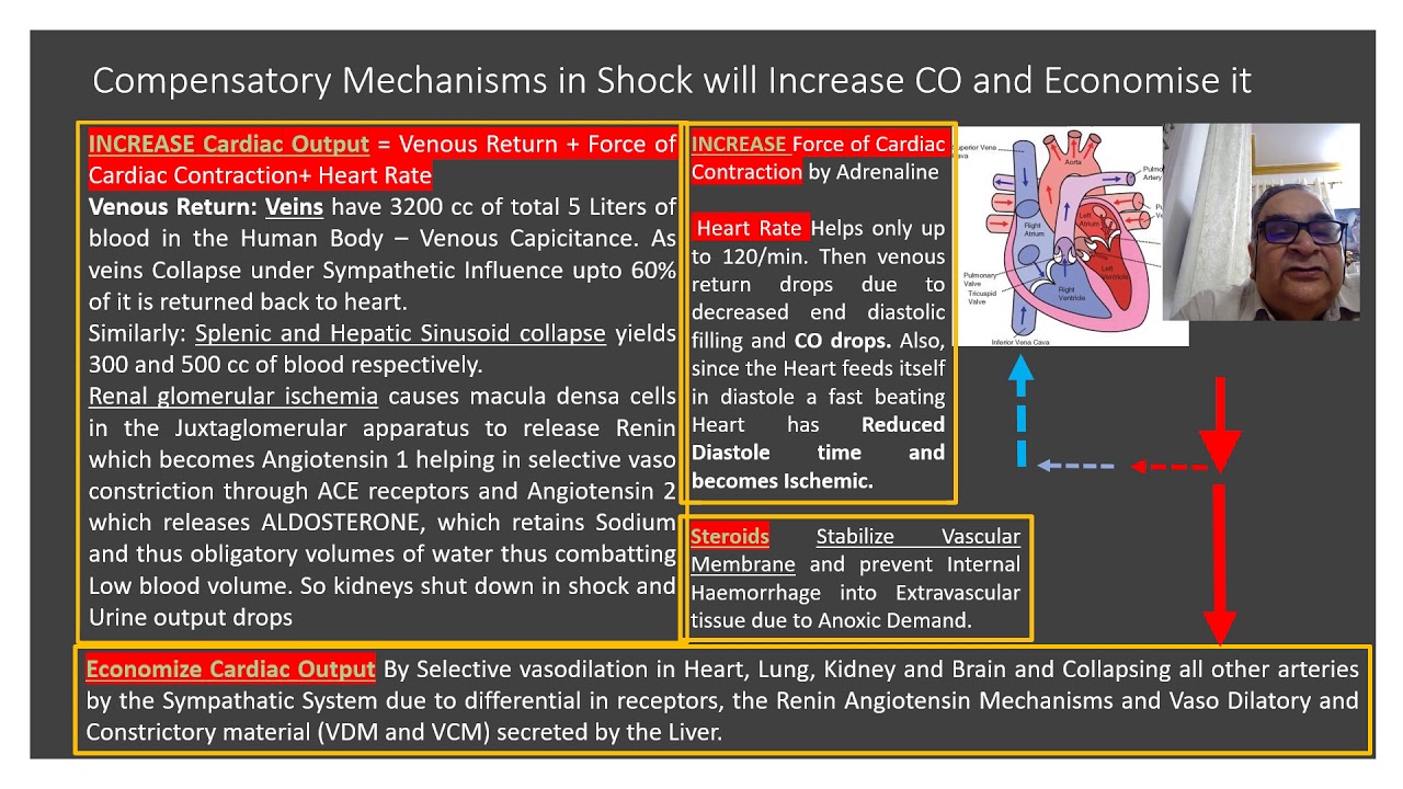 Shock Definition Etiopathogenesis Diagnosis Monitoring And Management shock-definition-etiopathogenesis-diagnosis-monitoring-and-management
