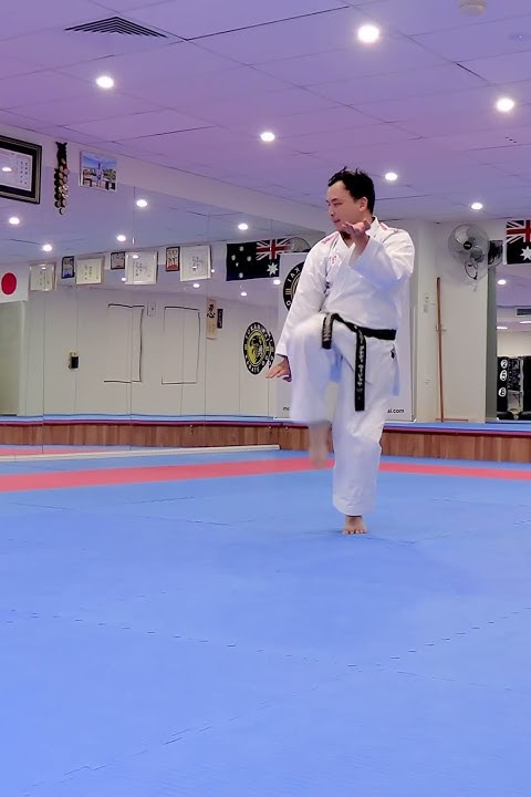 Yukan Kai Karate Do Saifa Kata by Davy Wijaya Sensei Goju Ryu Seiwa Kai - YouTube