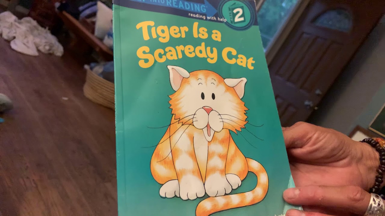 Tiger the scaredy-cat - YouTube