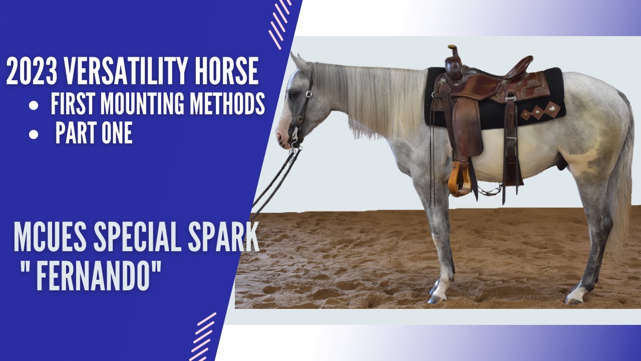 Colt Starting - First Mounting Methods Part 1- Russ Krachun Kozak ...