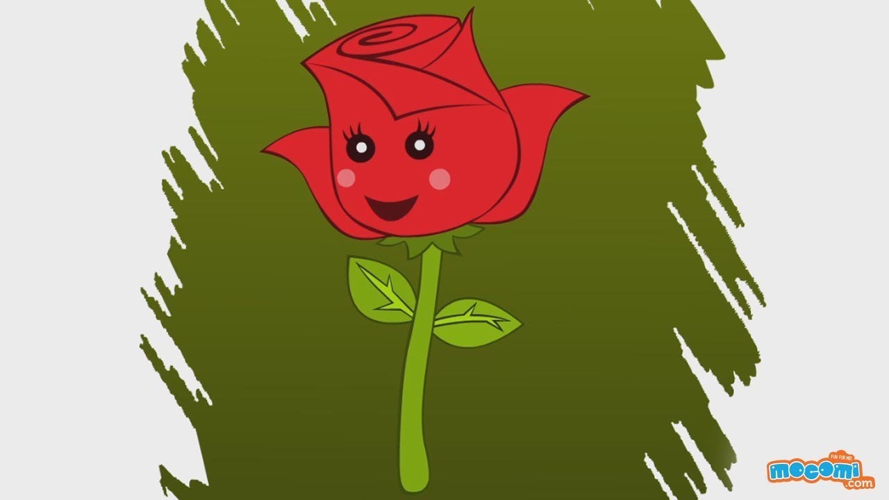 How to Draw a Rose - Step By Step Drawing for Kids | Educational Videos ...