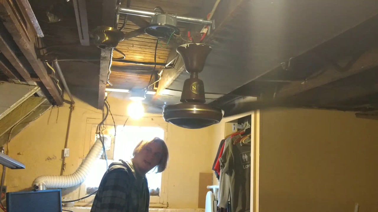 Testing a New Fan / Moss Industrial 3 Blade Ceiling Fan - YouTube