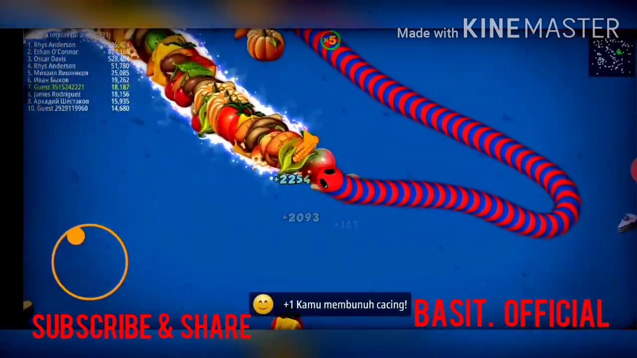 #Cacing Alaska #Cacing worms zone #Cacing - YouTube