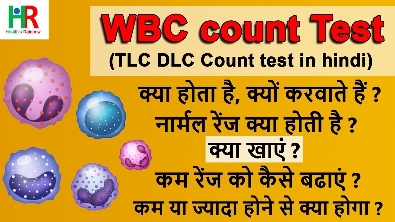 Wbc Count Test In Hindi Tlc Dlc Count Test High Tlc Count High Dlc wbc-count-test-in-hindi-tlc-dlc-count-test-high-tlc-count-high-dlc