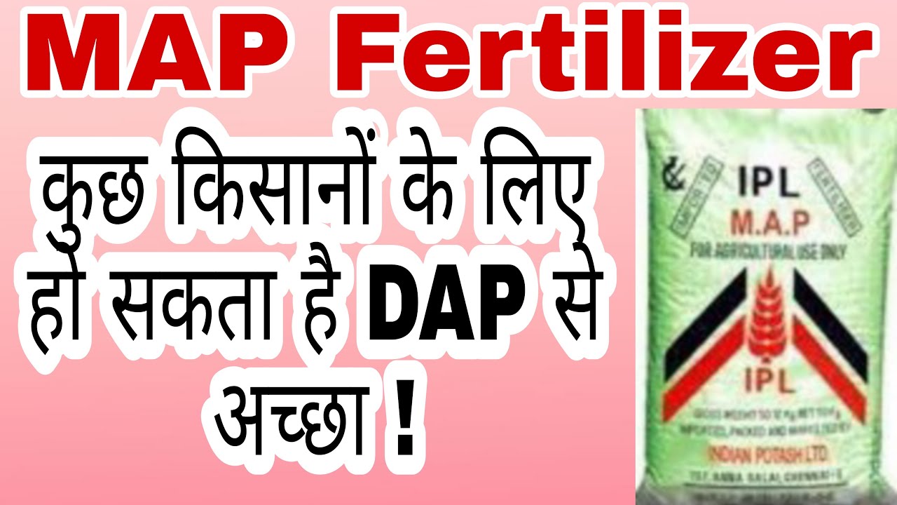 DAP या MAP कौन सा उपयोग करें।। MAP fertilizer || mono ammonium ...
