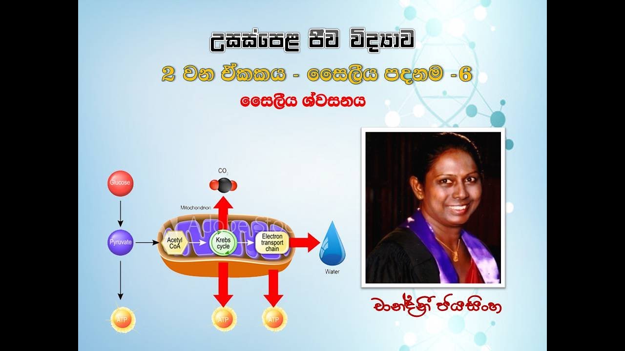 AL Biology - Chemical and Cellular Basis of Life - 6 - YouTube