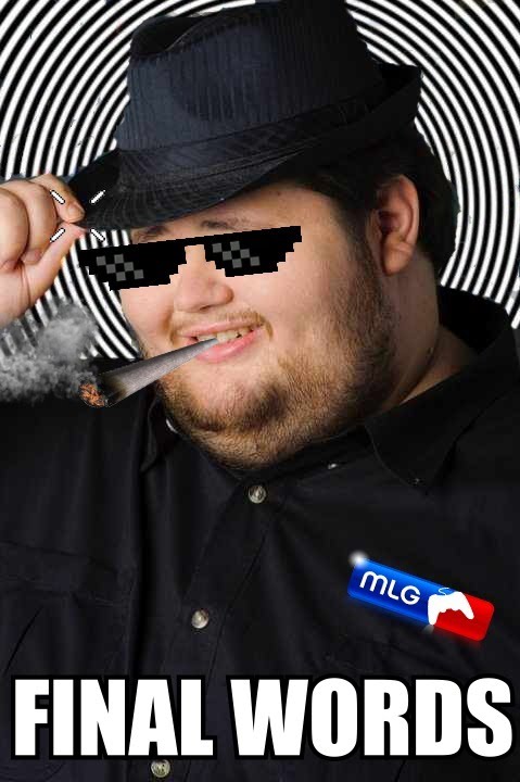 MLG FINAL WORDS - YouTube