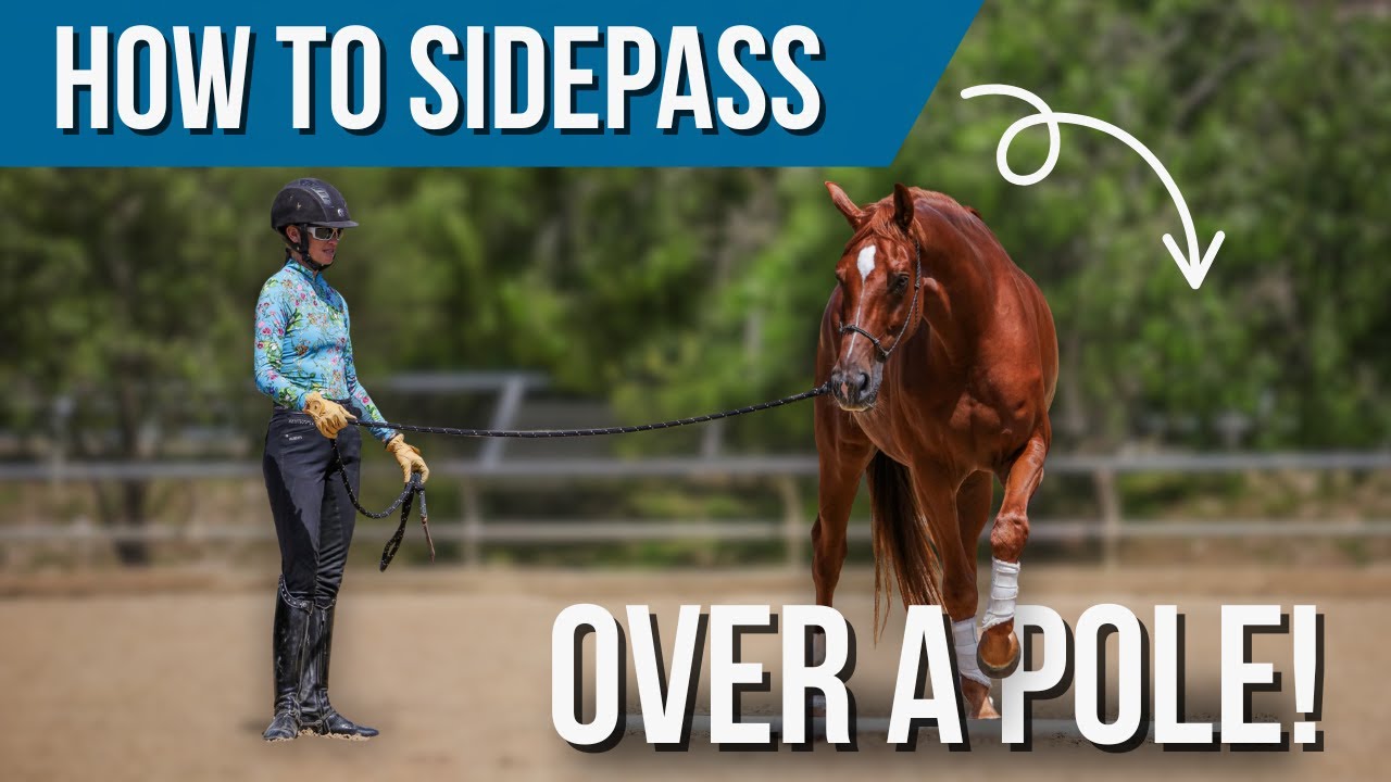 Teach Your Horse to Side Pass Over a Pole (Step-by-Step!) - YouTube
