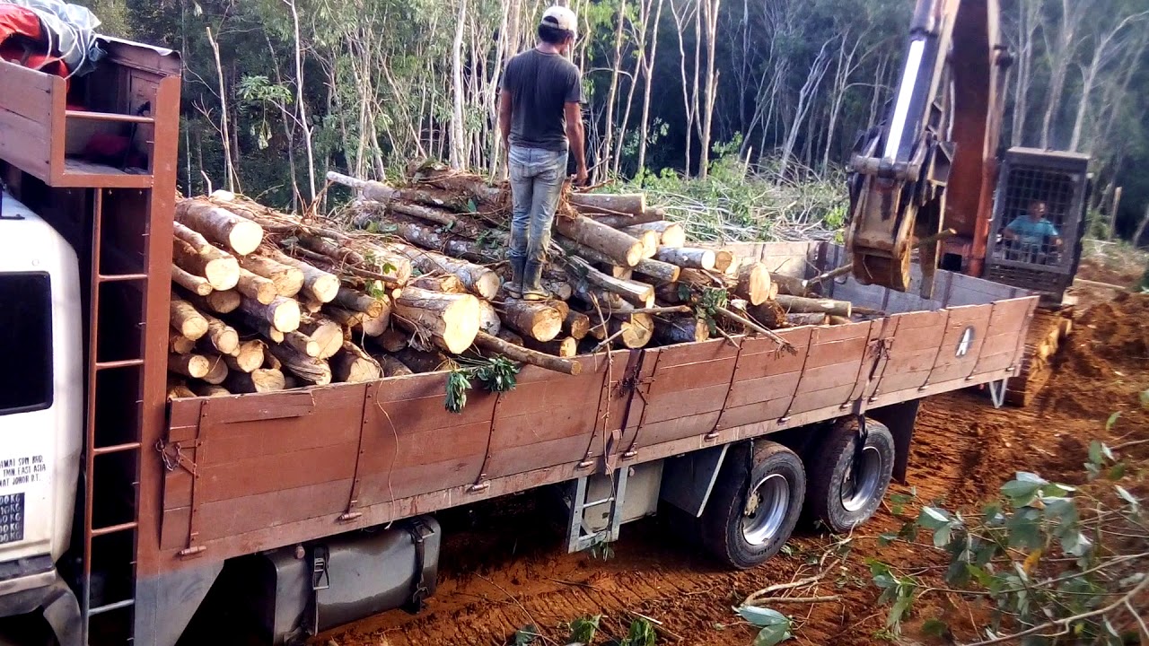 Loding kayu getah - YouTube