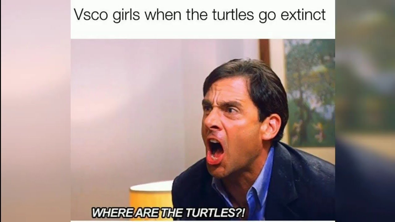 Memes Images Compilation - 33 Funny VSCO Girl Memes Ever 2020 🤣😂 Clean ...