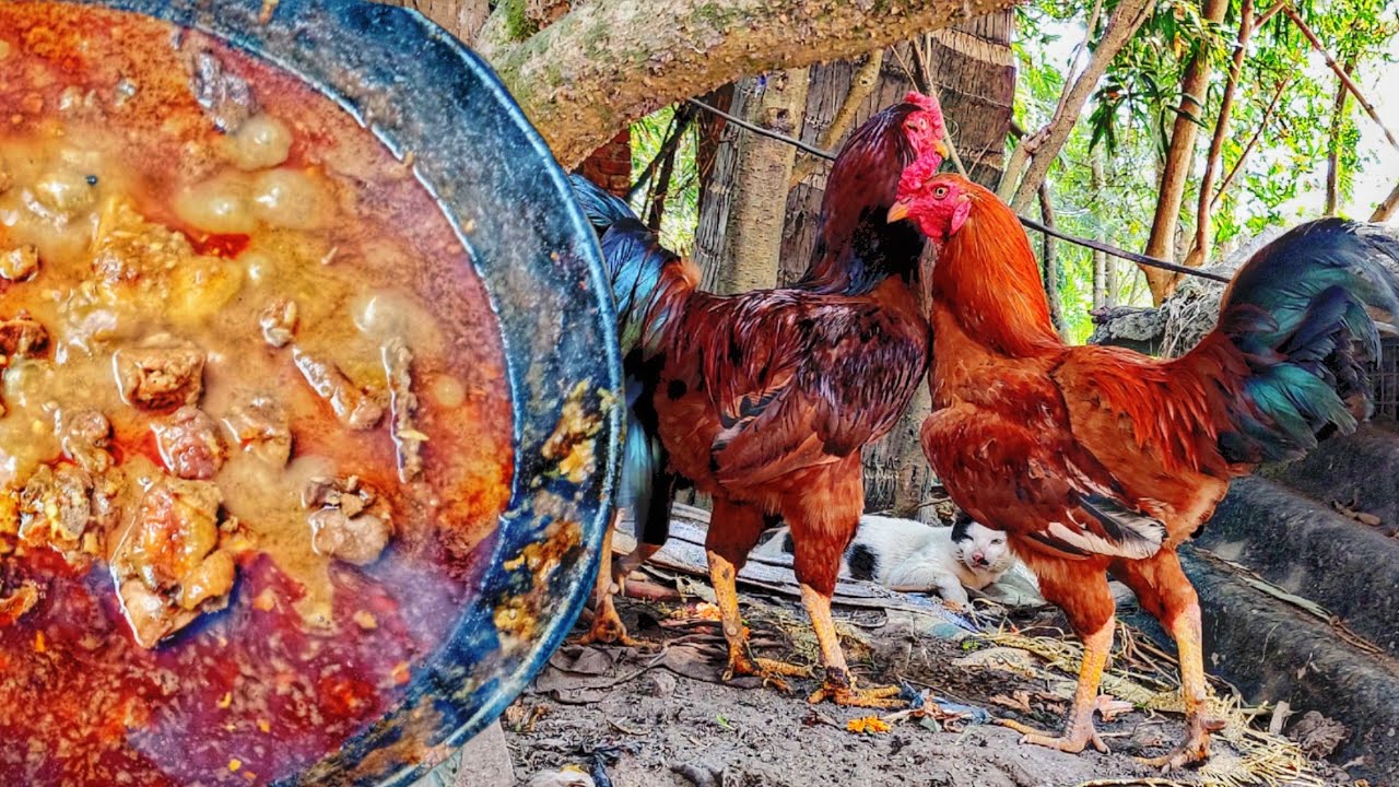 Village style Desi murga | Desi chicken recipe | odisha style - YouTube