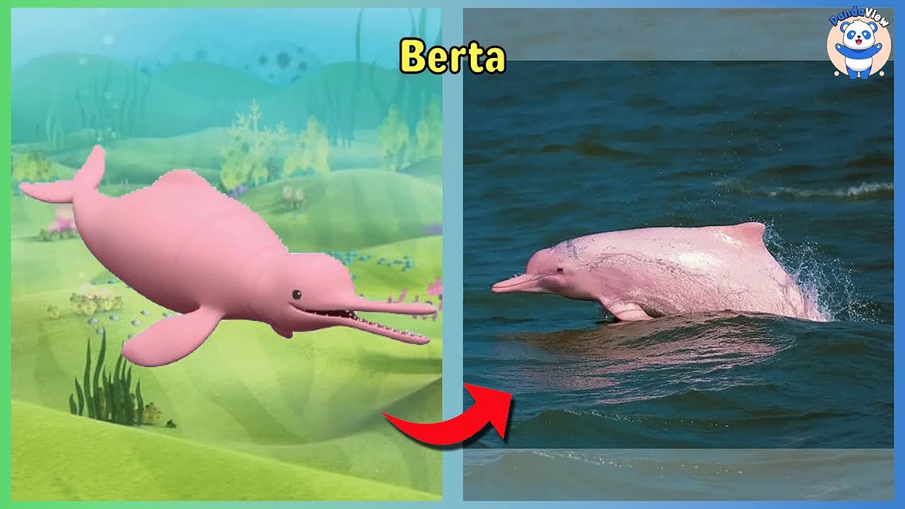 The Octonauts Characters In Real Life 2022 - YouTube