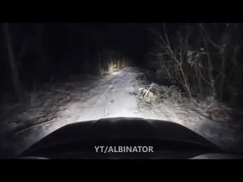 Imagine driving late at night and seeing this... **CREEPY** pt2 MEME ...