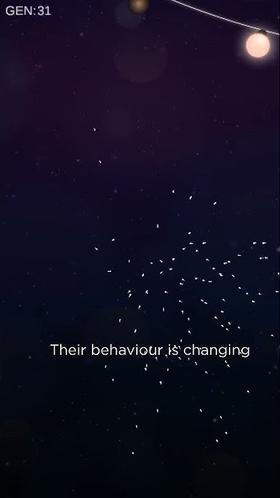 Genetic Algorithm | Bugs Learns to Fly | Unity - YouTube