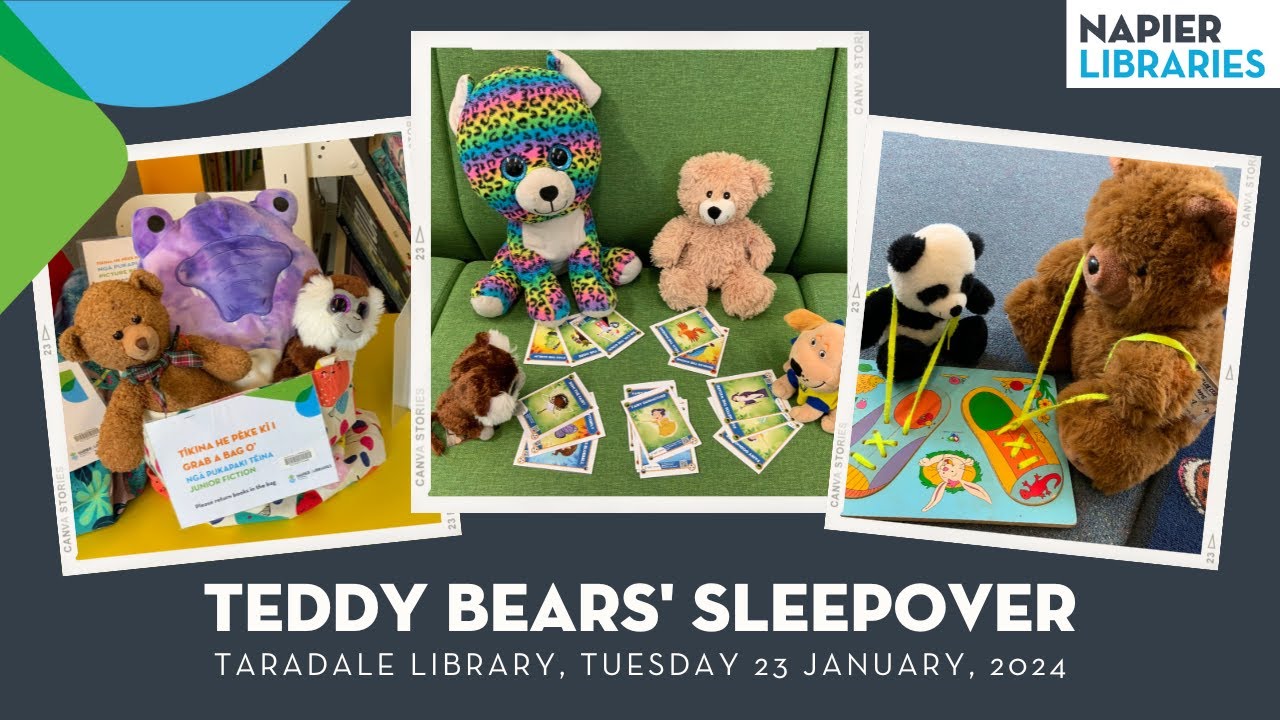 Teddy Bears’ Sleepover at Taradale Library, 23 January 2024 - YouTube