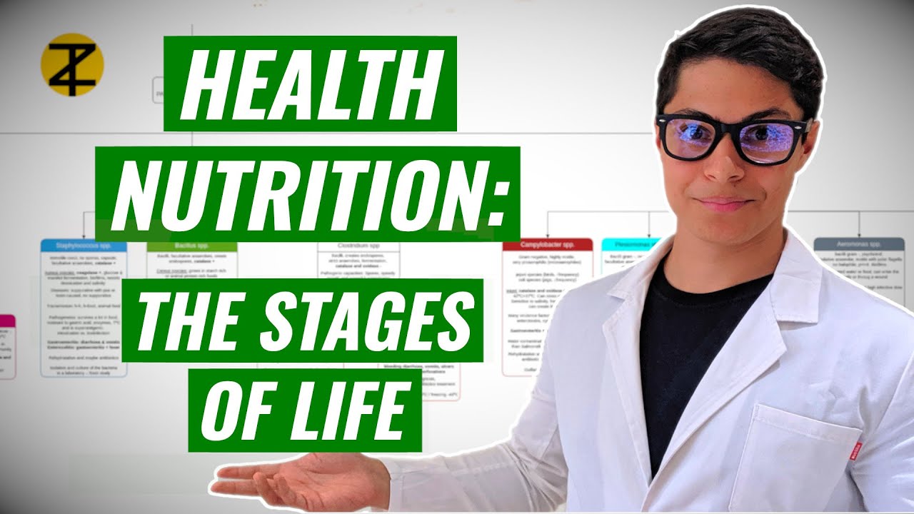 Nutrition in the Different Stages of Life - YouTube