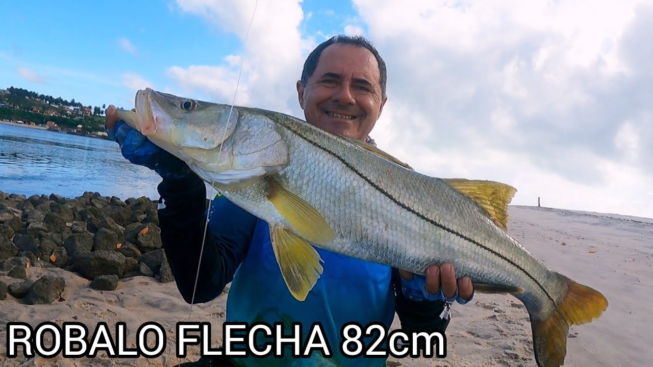 MEU NOVO RECORDE,ROBALO FLECHA DE 82 cm(Barra de Cunhaú -RN) - YouTube