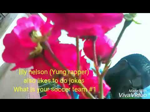 Lily nelson the Yung rapper comedy - YouTube