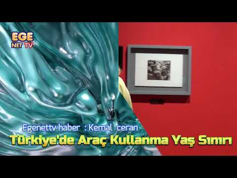 Türkiye'de Araç Kullanma Yaş Sınırı