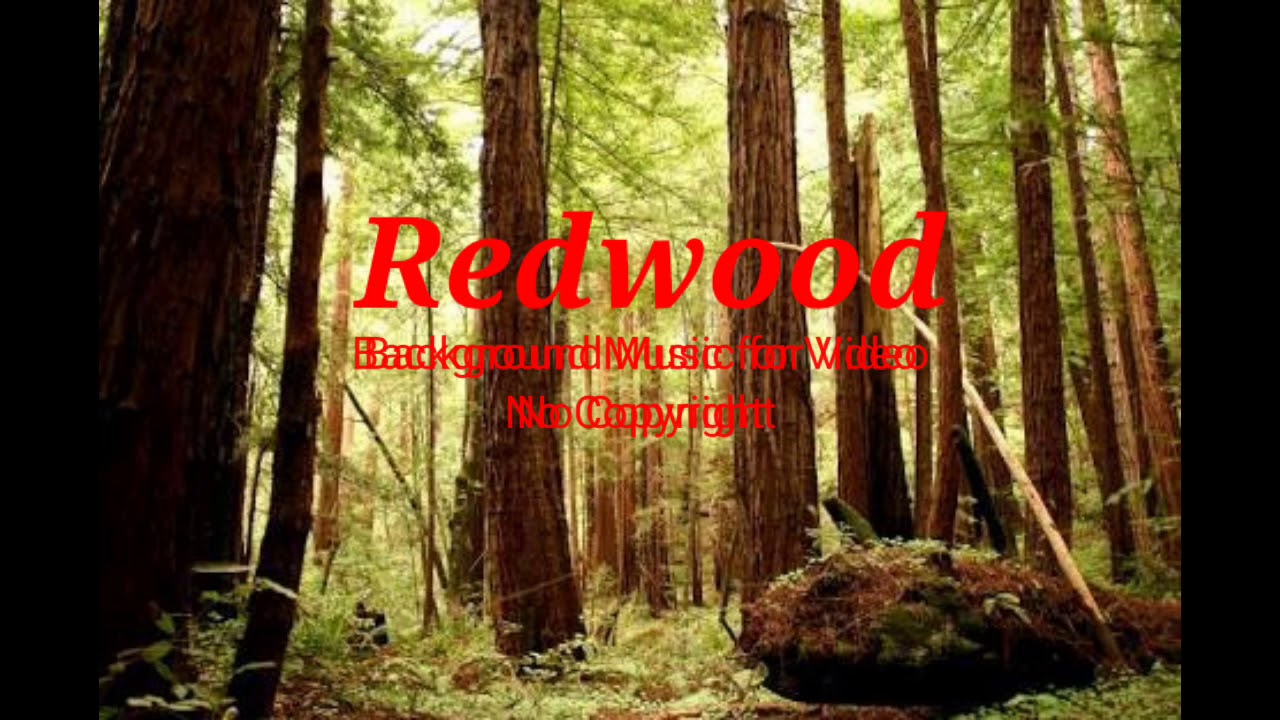 Redwood - Rock | Inspirational (Background Music for Video) No ...