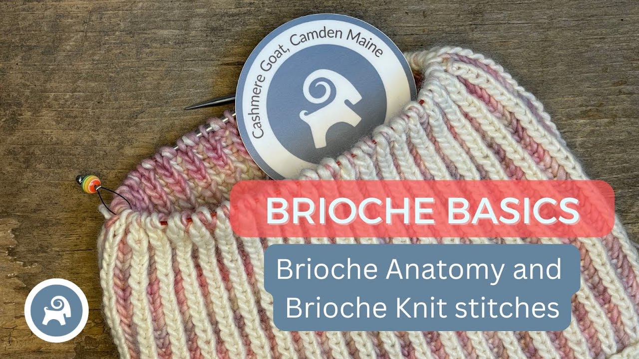Brioche Knitting Anatomy — The Brioche Knit Stitch (BrK) - YouTube