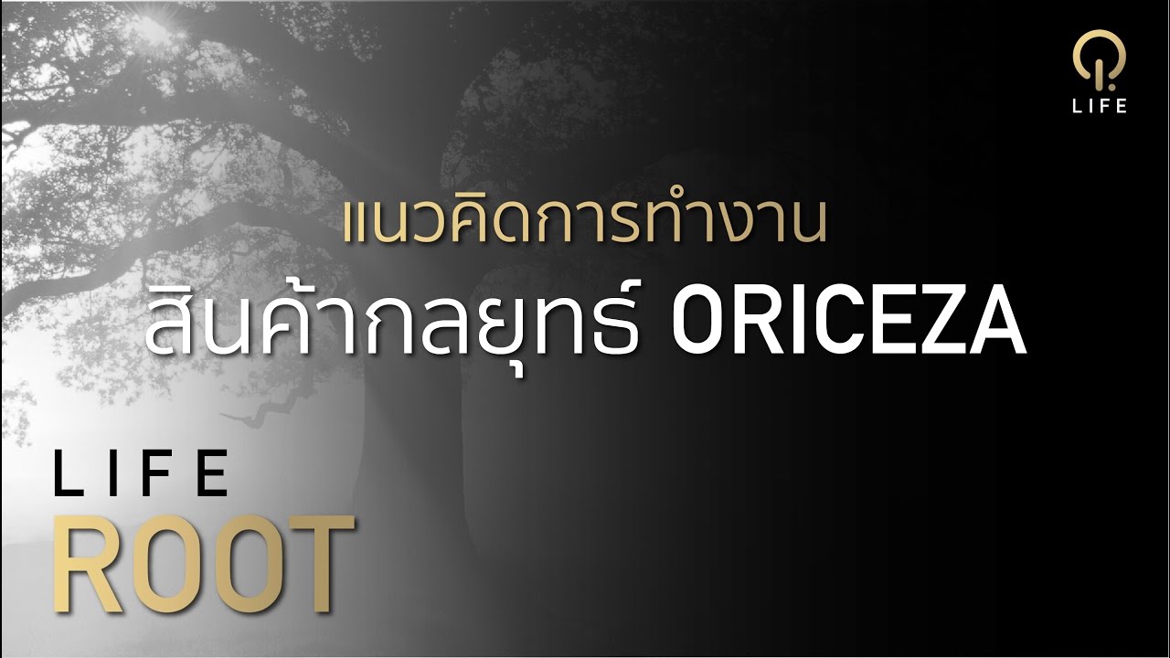 LIFE root แนวคิดการทำงาน (สินค้ากลยุทธ์ ออไรซ่า) - YouTube