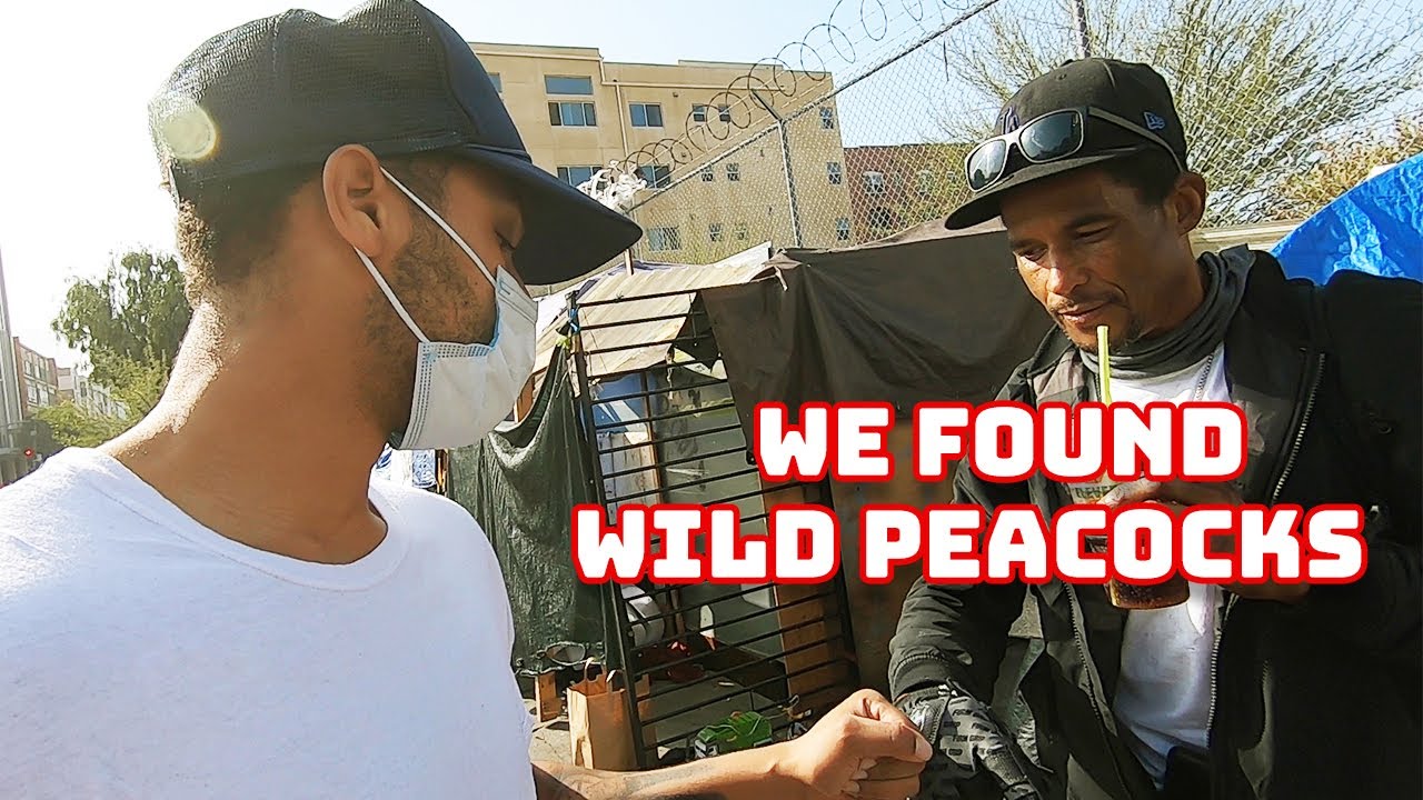 DELIVERING 7500 meals to the homeless!! IN ONE MONTH - YouTube
