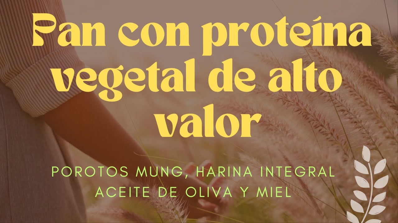 Cómo hacer un pan con Proteína Vegetal de alto Valor - YouTube