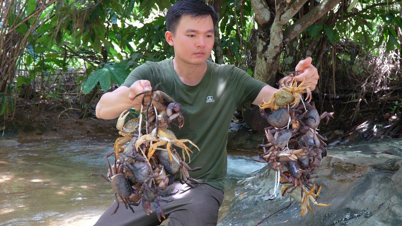 Robert catches wild crabs for food and sells. Green forest life - YouTube