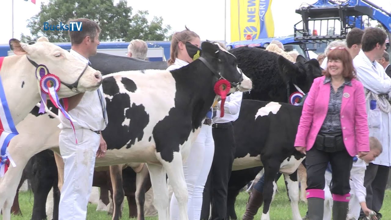 Bucks County Show - 2015 - YouTube