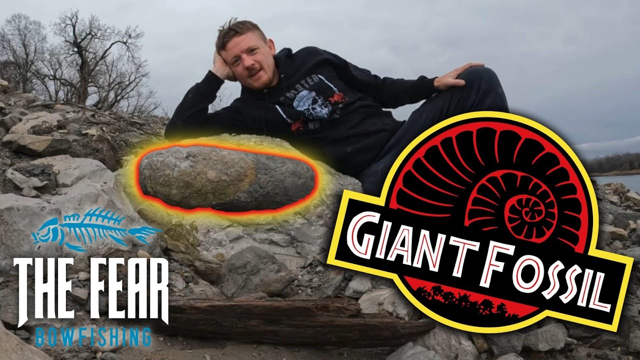 Finding some GIANT fossils in a public area!!! - YouTube