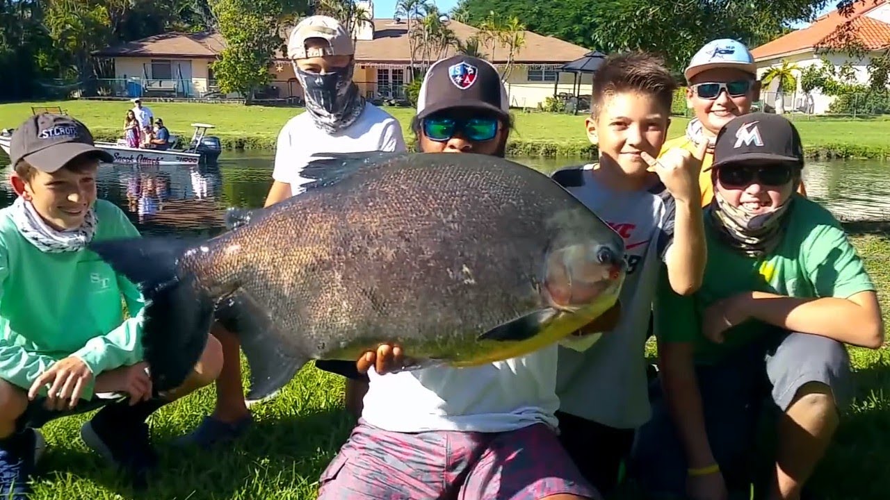 PIRANHA Caught in Miami (Epic Fight) - YouTube