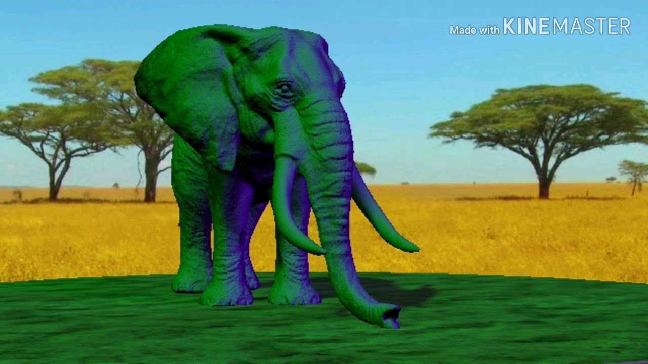 A Screaming Elephant - YouTube