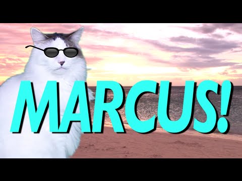 HAPPY BIRTHDAY MARCUS! - EPIC CAT Happy Birthday Song - YouTube