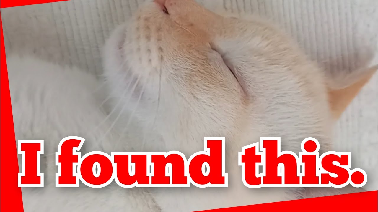 I found this on the landing. - YouTube