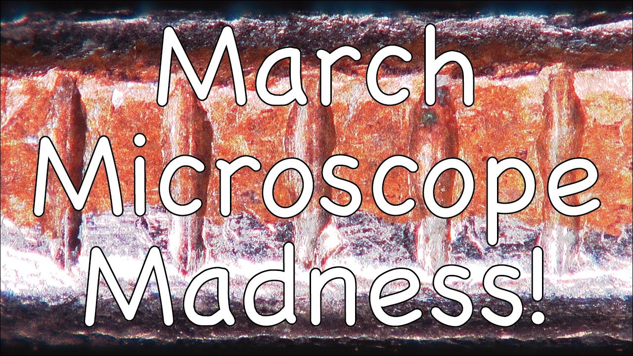 March Microscope Madness Week 3 2015 YouTube march-microscope-madness-week-3-2015-youtube