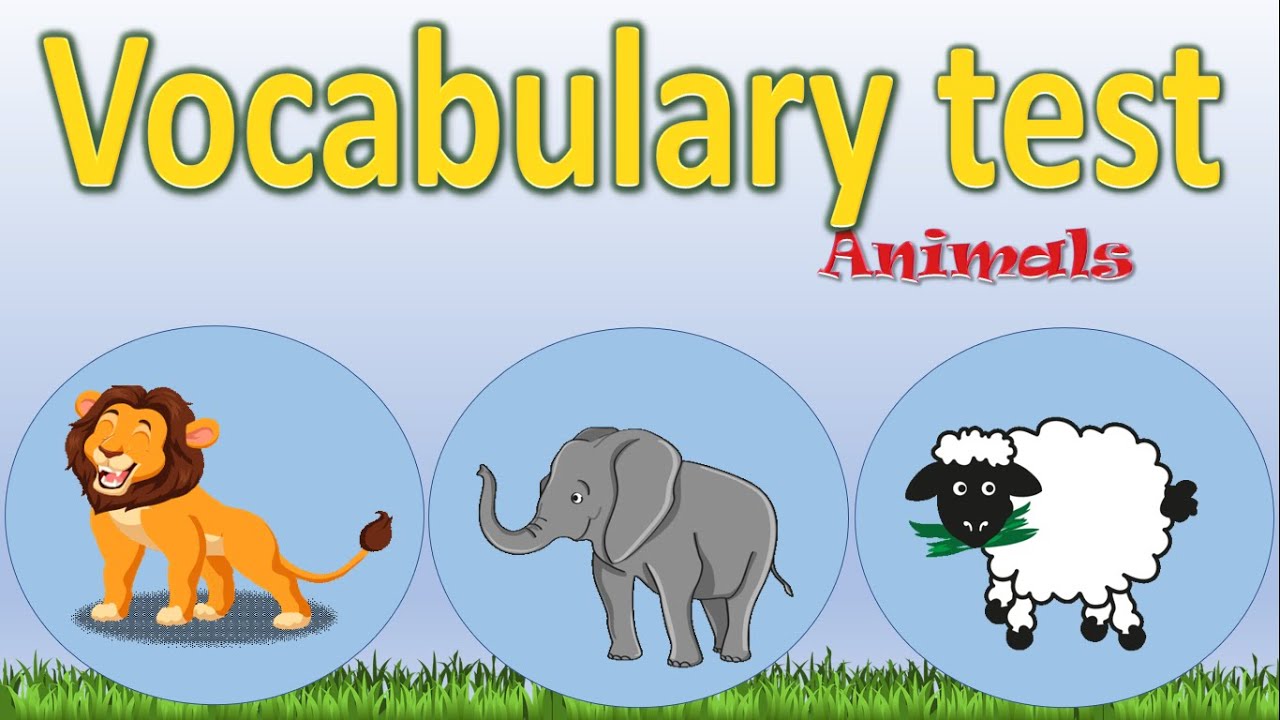 Animals Vocabulary test تعلم الانجليزيه الحيوانات - YouTube