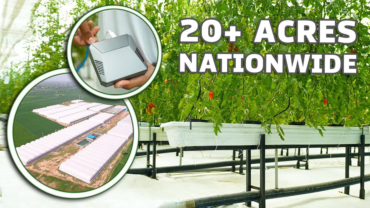 Eeki's Weather-Proof Farms: Ensuring Year-Round Food Cultivation - YouTube