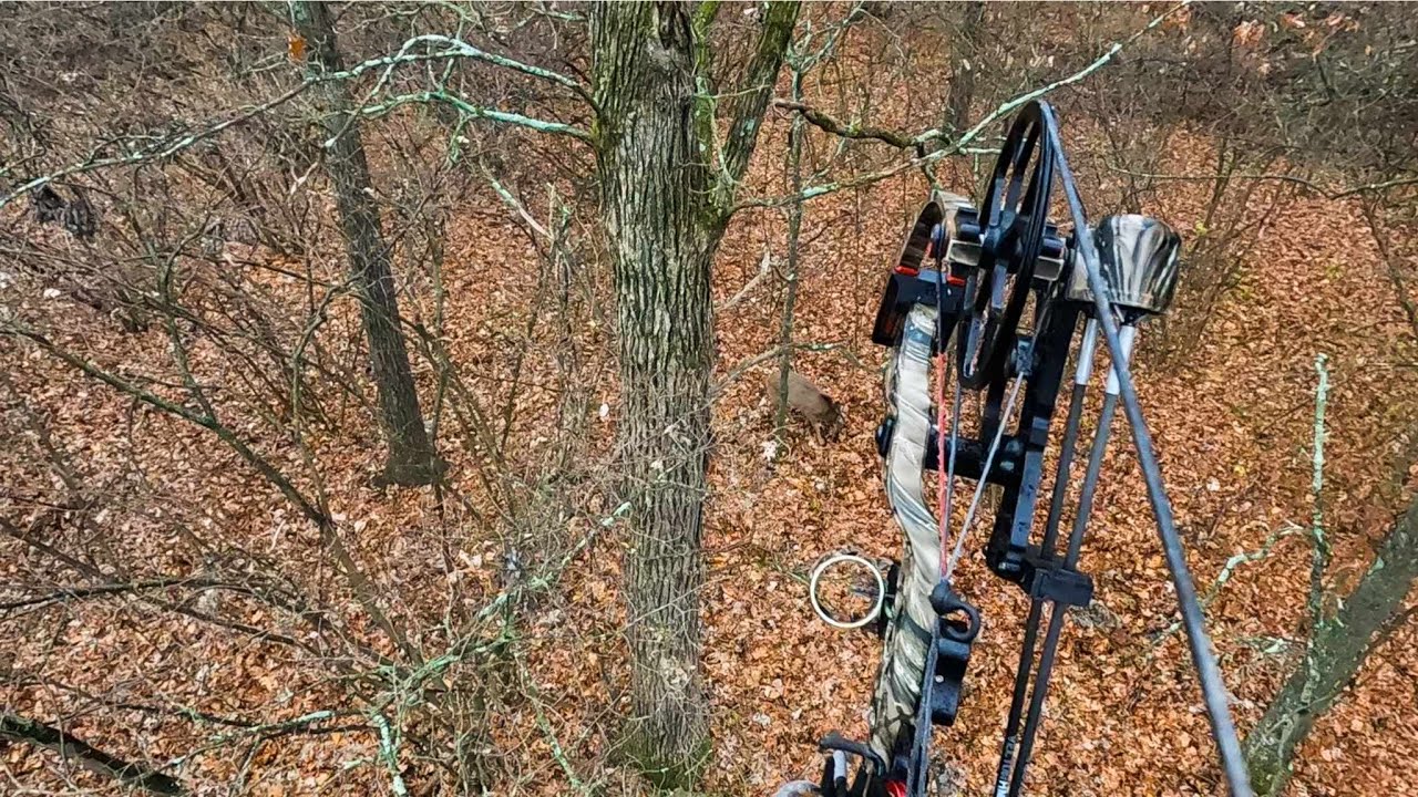 Filling my last archery doe tag before Wisconsin gun deer opener ...