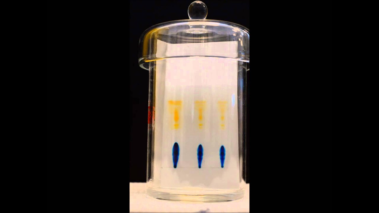 Thin Layer Chromatography YouTube thin-layer-chromatography-youtube