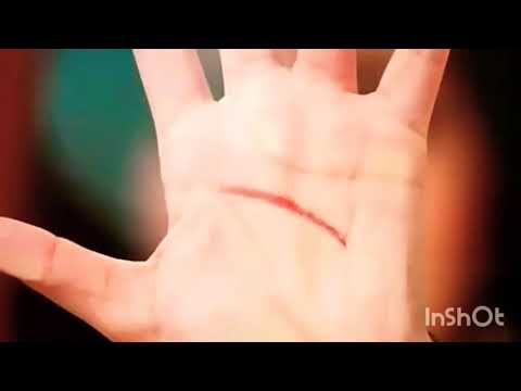 Hint klip//Bize aşk lazım