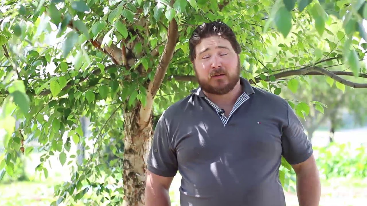 Half Acre Farm - YouTube