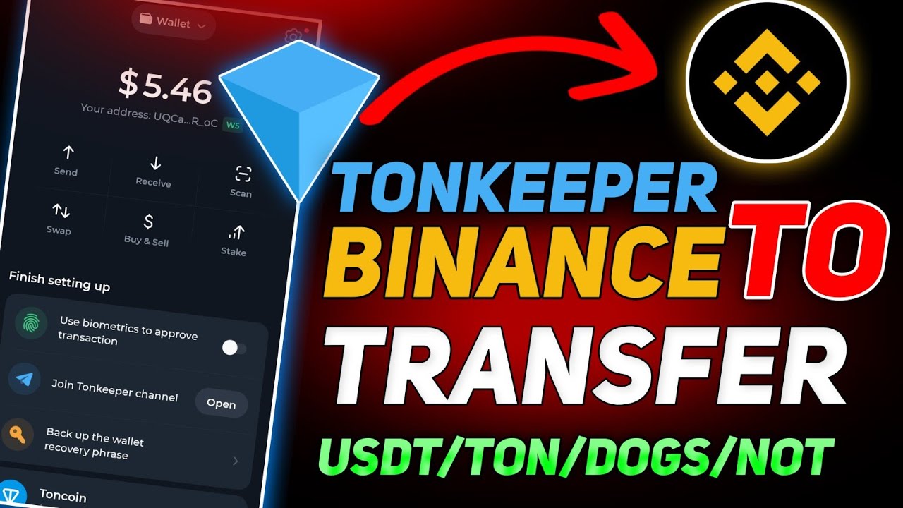 Tonkeeper To Binance Transfer TON USDT NOT DOGS || How to Transfer ...