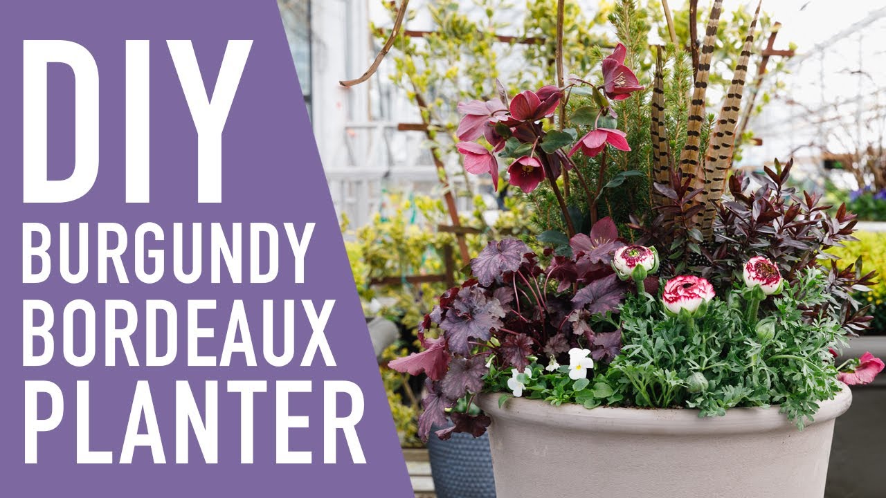 Burgundy Bordeaux Spring Planter 💜 || West Coast Gardens - YouTube