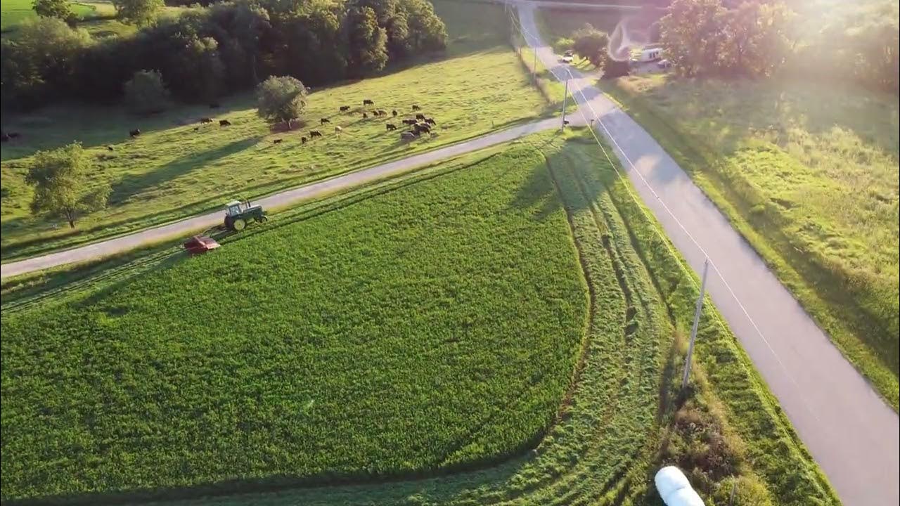 Cutting 2nd Crop Alfalfa - YouTube