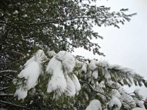 Second snow day, and lots of it! Dec 17,2012 - YouTube