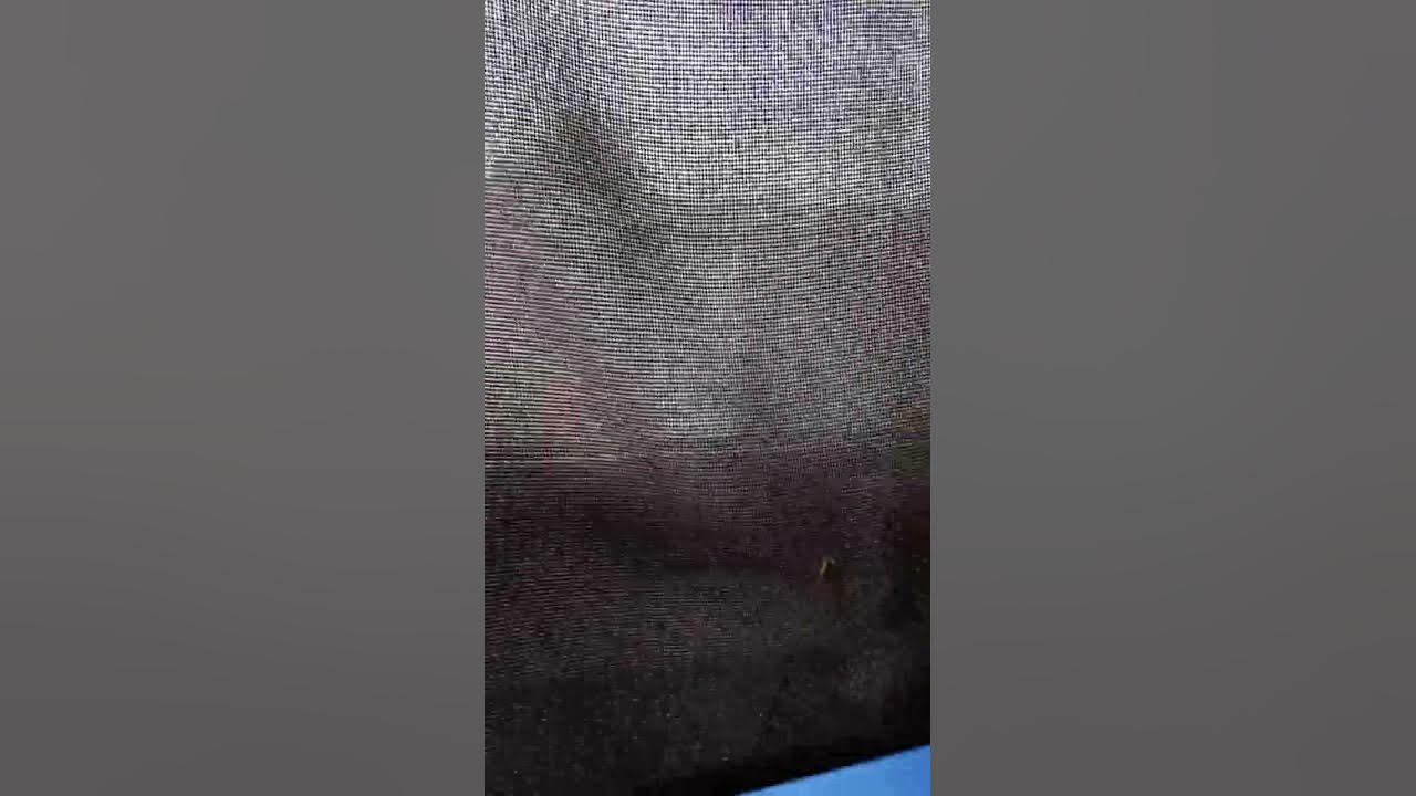 join the mvmnt - YouTube