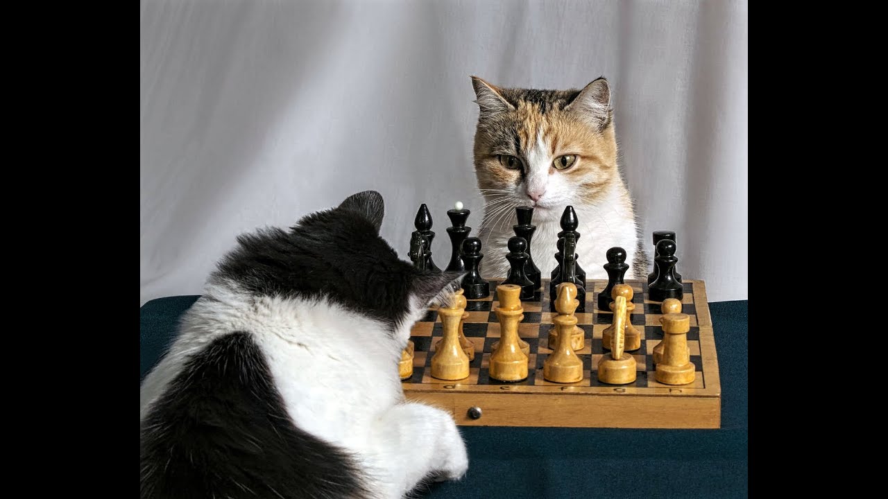 Beautiful chess games. Evergreen Game. Adolf Anderssen - Jean Dufresne ...